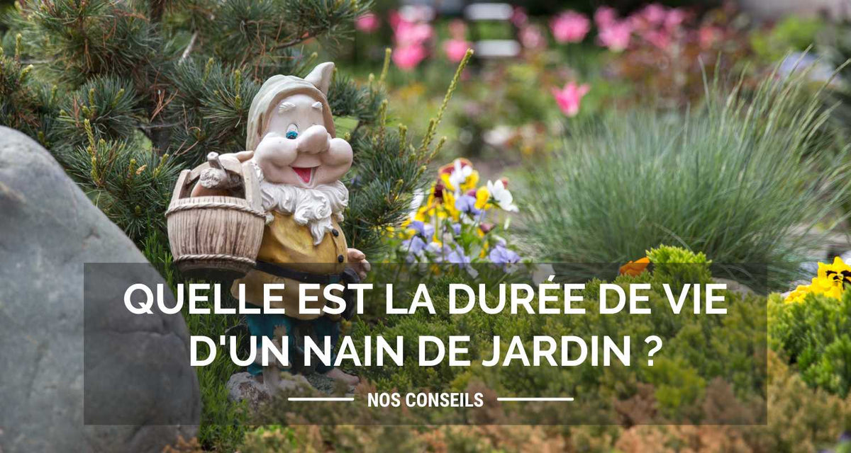 How long does a garden gnome live? & Meilleur Nain de Jardin